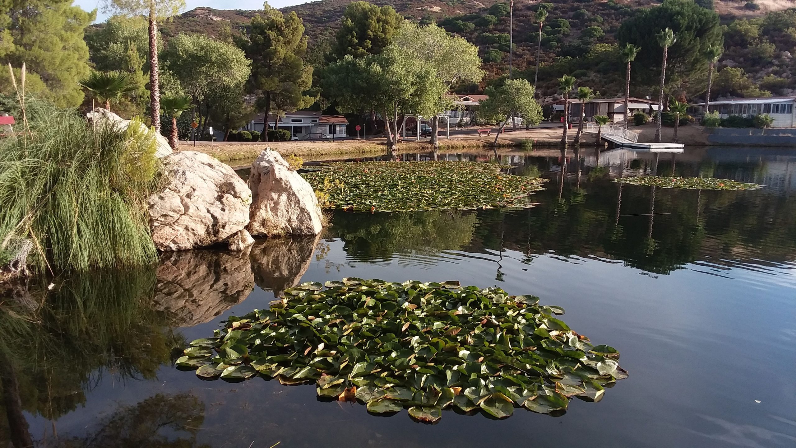 Copyright 2025 Warner Springs Estates, All rights reserved.